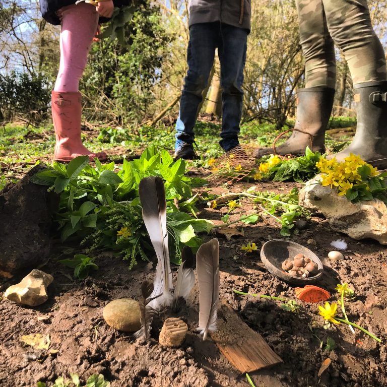 Wilderness Foundation UK – Essex Community Foundation