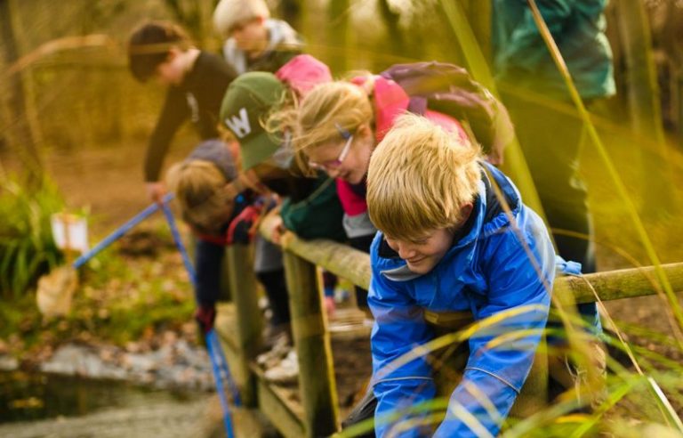 wilderness foundation – Essex Community Foundation