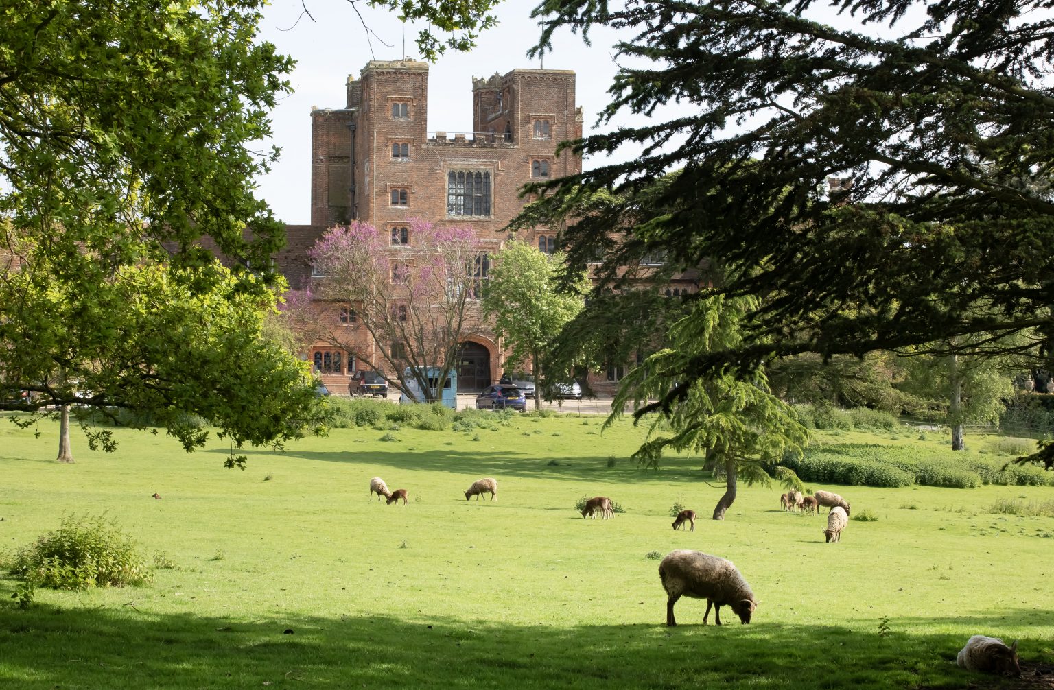 Our Spring reception at Layer Marney Tower – Essex Community Foundation